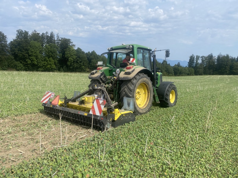 Moreni Kreiselegge Compact KQ 300 mit Packerwalze